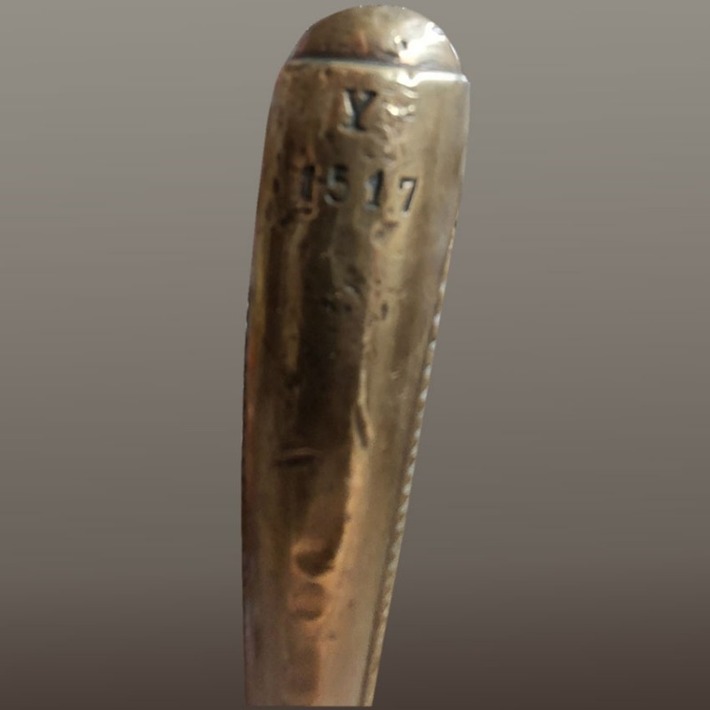 Dutch lighter saber inspired by the An IX model for the infantry